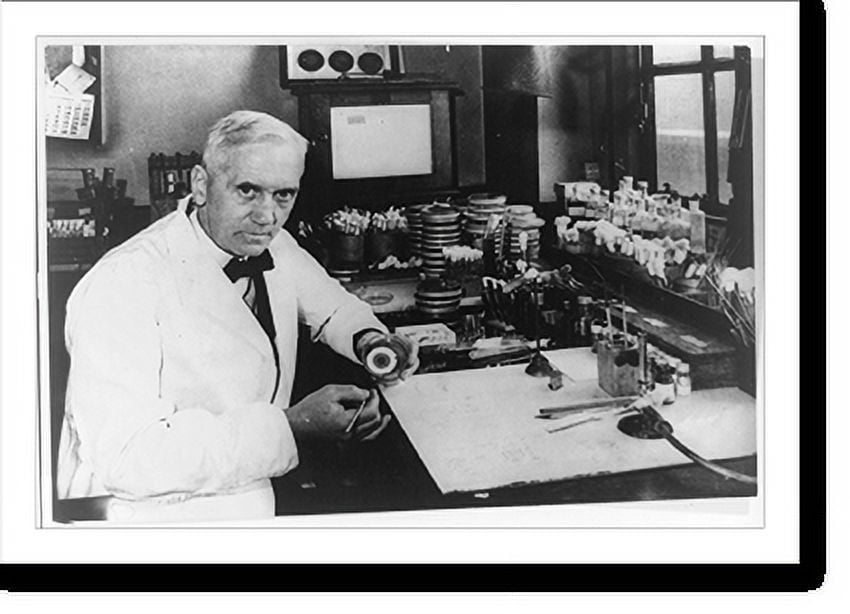 Historic Print, [Dr. Alexander Fleming, half-length portrait, seated in ...