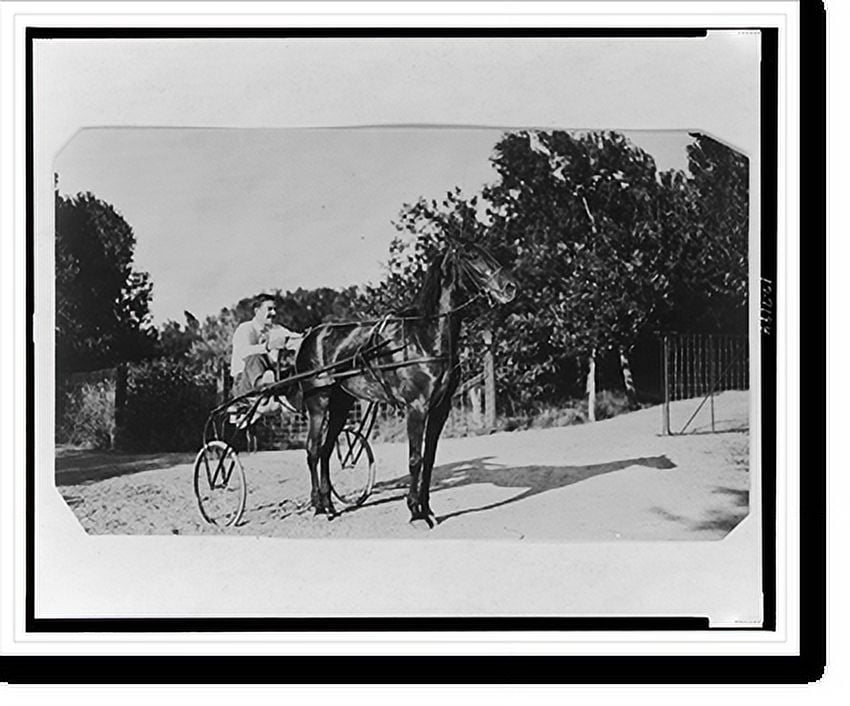 Historic Print, [Edward Beale McLean on horse-drawn cart on the McLean ...