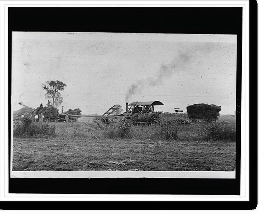 Historic Print, [Farm workers piling hay onto wagon being pulled by ...