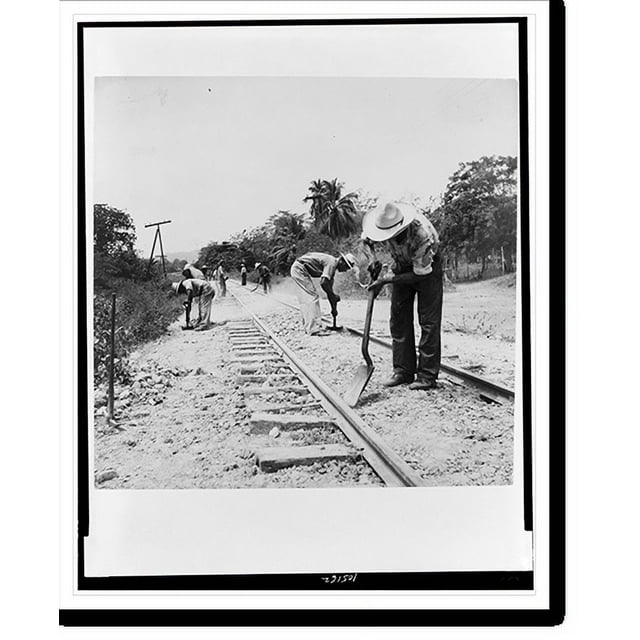 Historic Print, [Gandy dancers pushing ballast underneath tracks of the ...