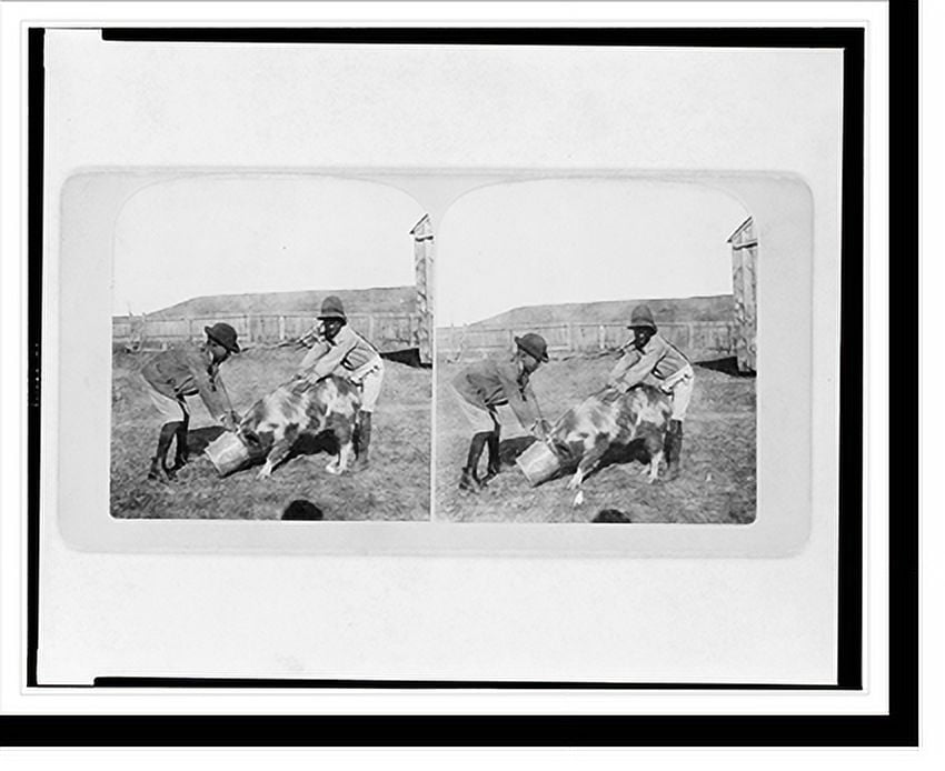 Historic Print, Git on quick Rastus -he done got it mos eat up, 18" x ...