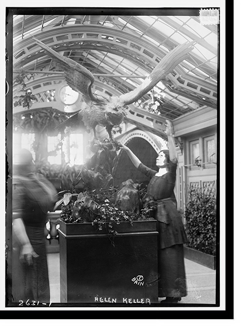 Historic Print, Helen Keller, 16" x 20" - Walmart.com