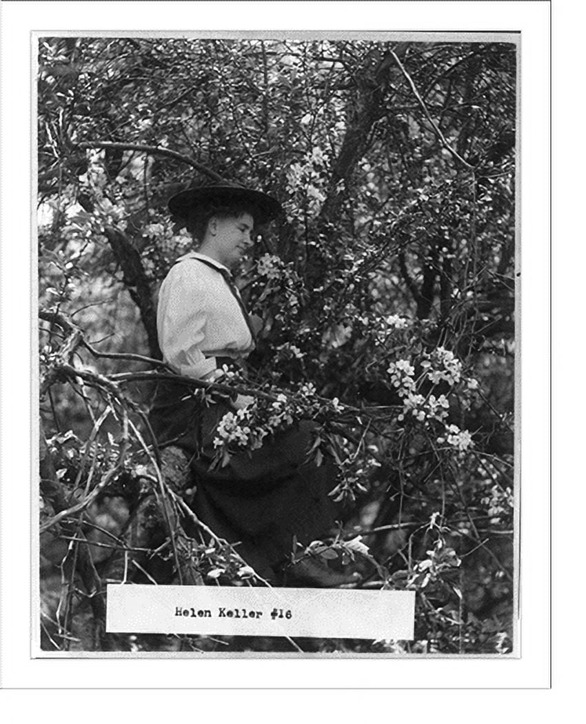 Historic Print, Helen Keller, 1880-1968 - 10, 16" x 20" - Walmart.com