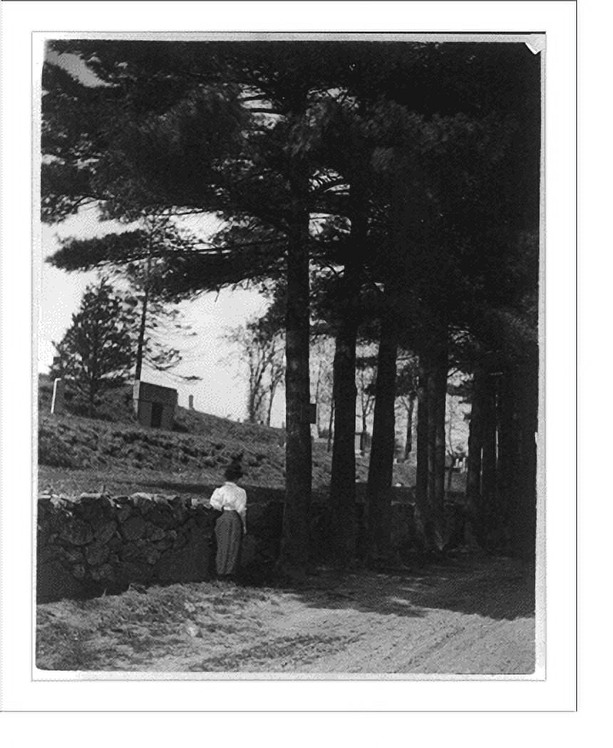 Historic Print, Helen Keller, 1880-1968 - 18, 18" x 24" - Walmart.com