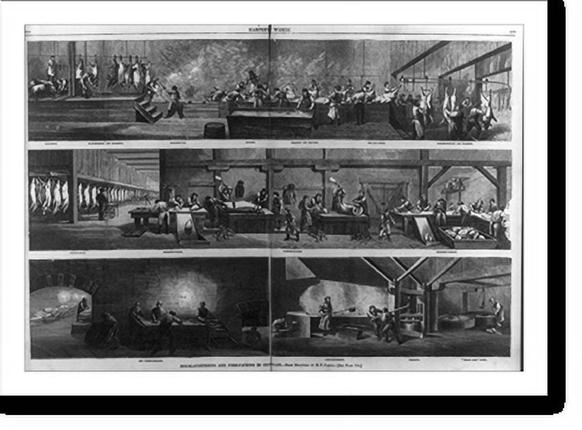 Historic Print, Hog-slaughtering and pork-packing in Cincinnati, 18" x ...