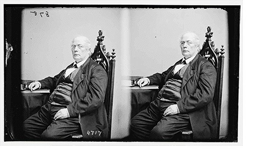 Historic Print, Hon. Morton Smith Wilkinson of Minnesota, 16" x 20 ...