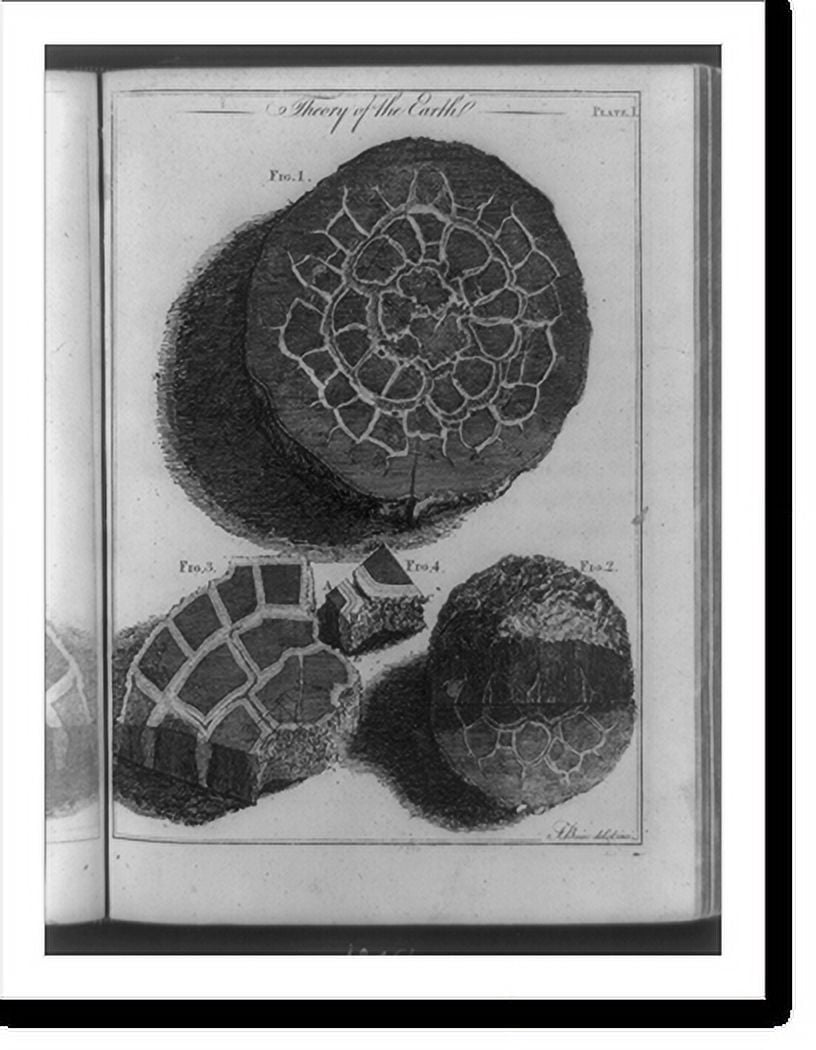 Historic Print, [Iron-stone rock in various stages being formed by ...