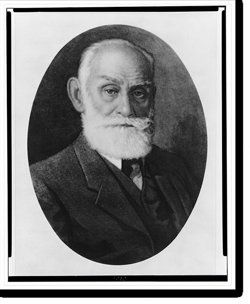 Historic Print, [Ivan Pavlov, head-and-shoulders portrait, facing ...