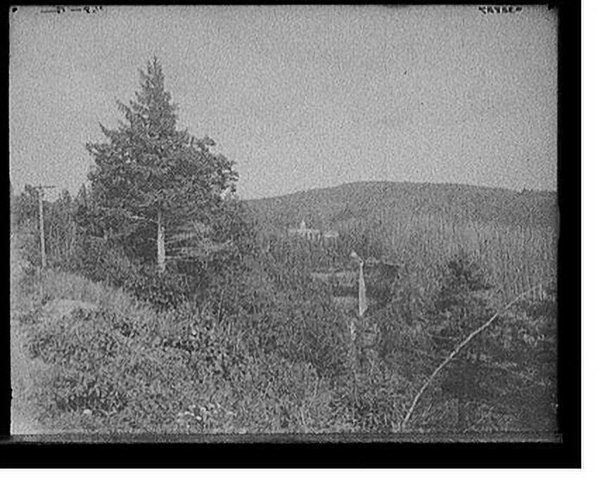 Historic Print, [Kaaterskill Falls and Laurel House, Catskill Mts., N.Y ...