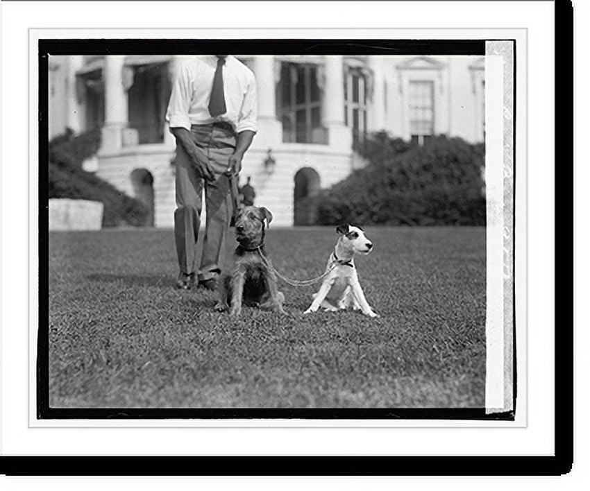 Historic Print, Laddie Buck & Peter Pan, 16" x 20" - Walmart.com