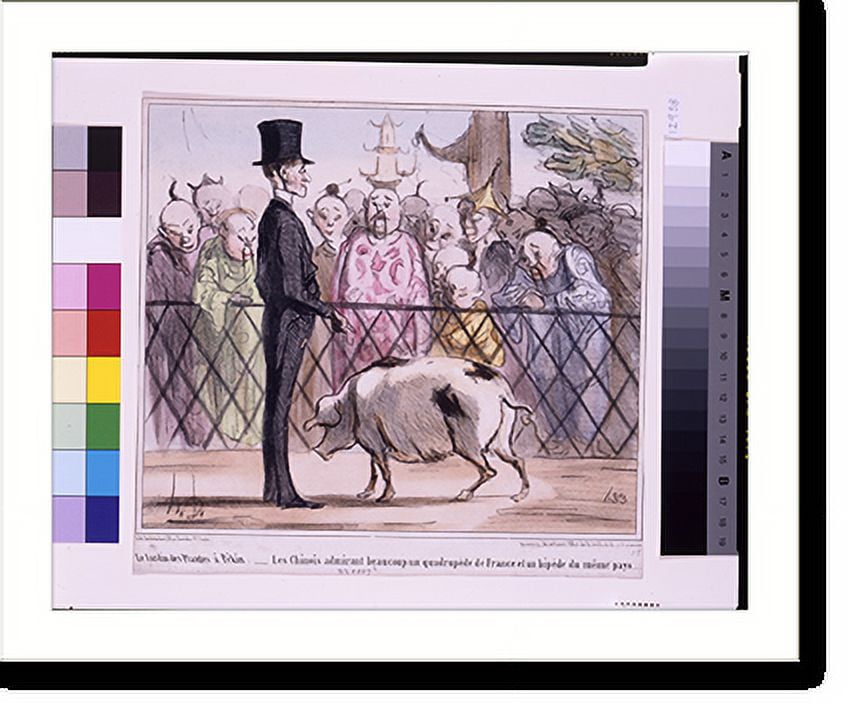 Historic Print, Le Jardin des Plantes à Pékin. Les Chinois admirant ...