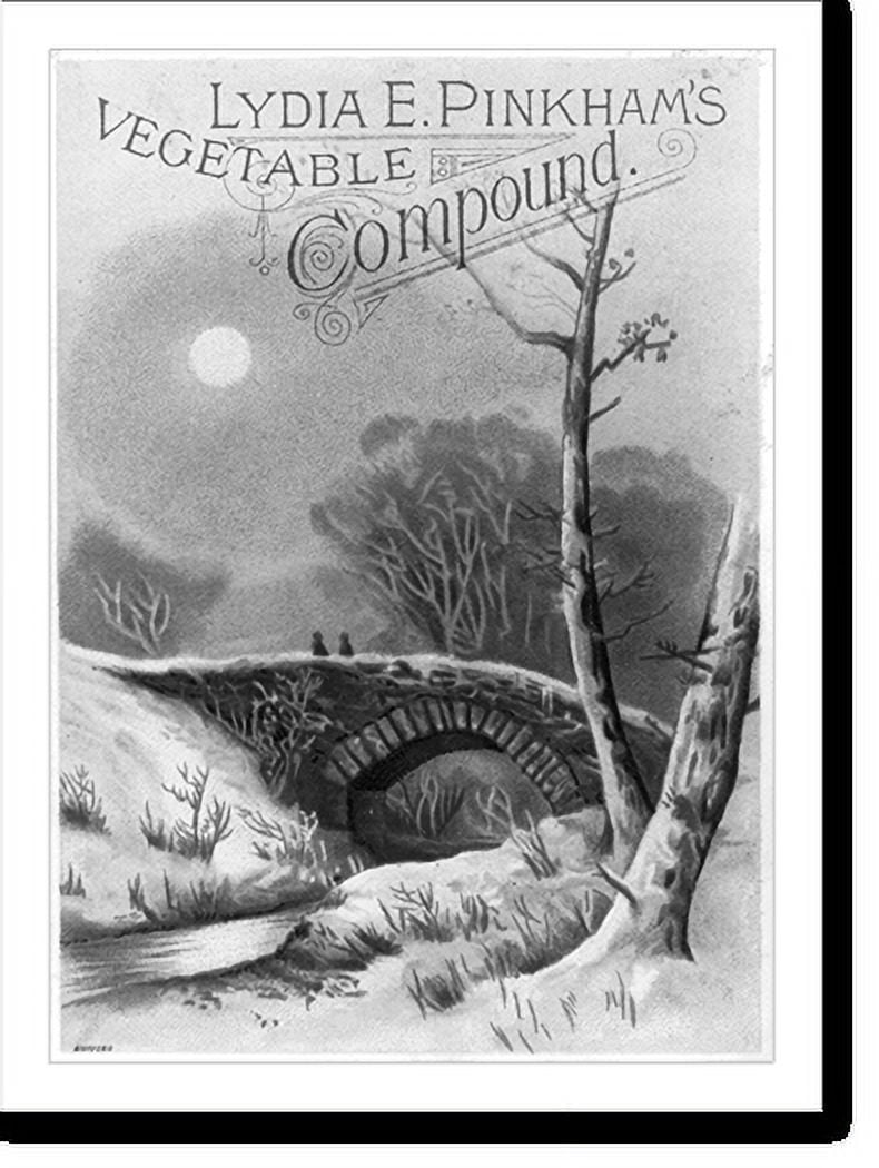 Historic Print, Lydia E. Pinkham's vegetable compound, 16" x 20 ...