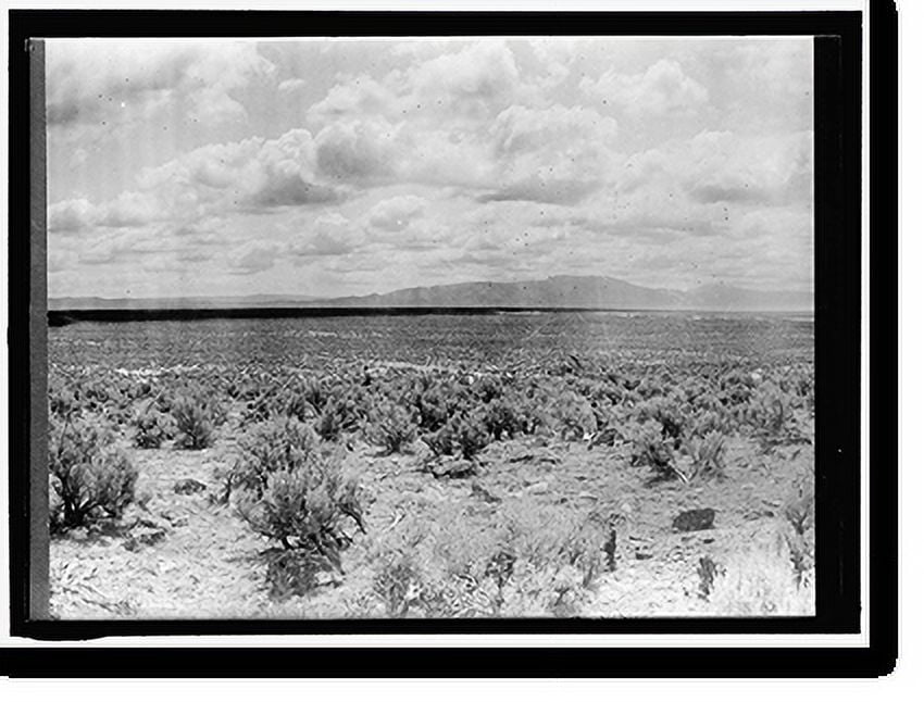 Historic Print, MINIDOKA PROJECT. U.S. RECLAMATION BUREAU. MINIDOKA ...