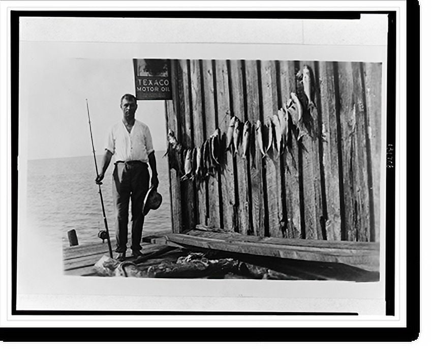 Historic Print, [Man, back to water, holding rod and reel, several fish ...