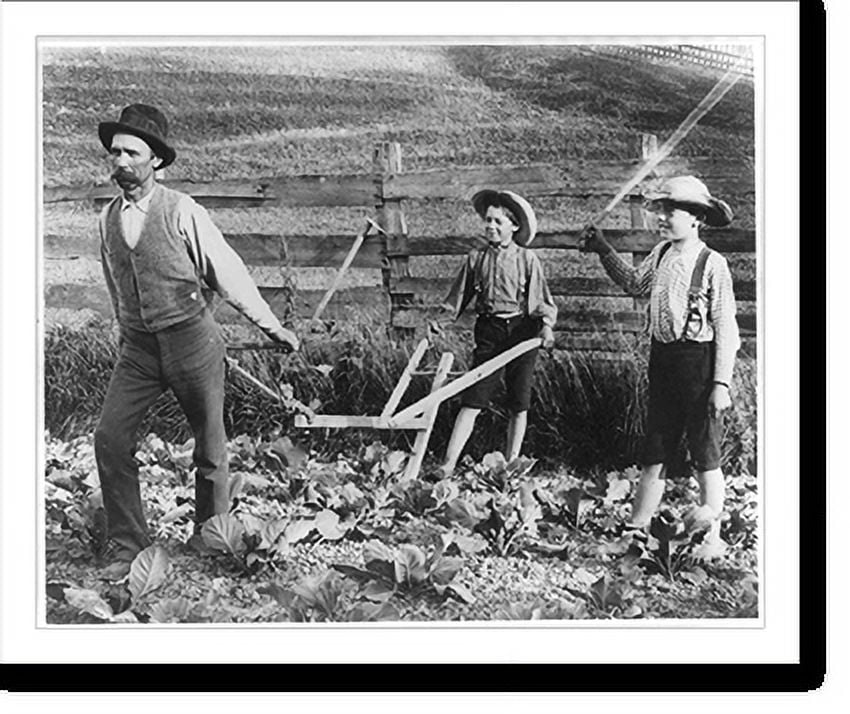 Historic Print, [Man pulling plow; one boy behind plow and another boy ...