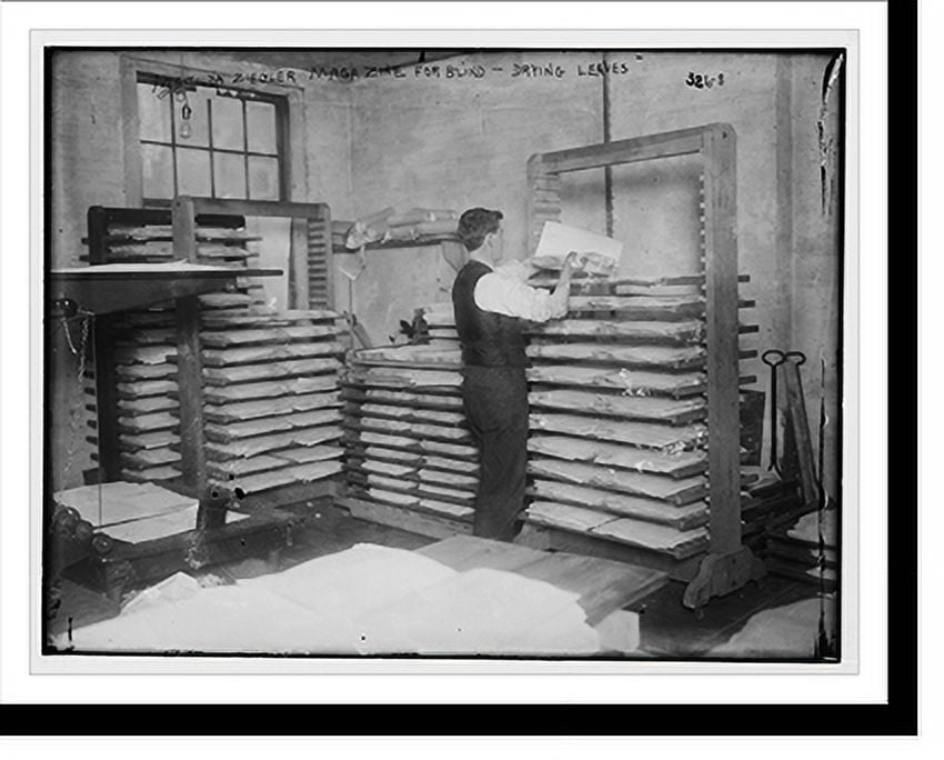 Historic Print, Matilda Ziegler Mag. For Blind: Drying leaves, 18" x 24 ...