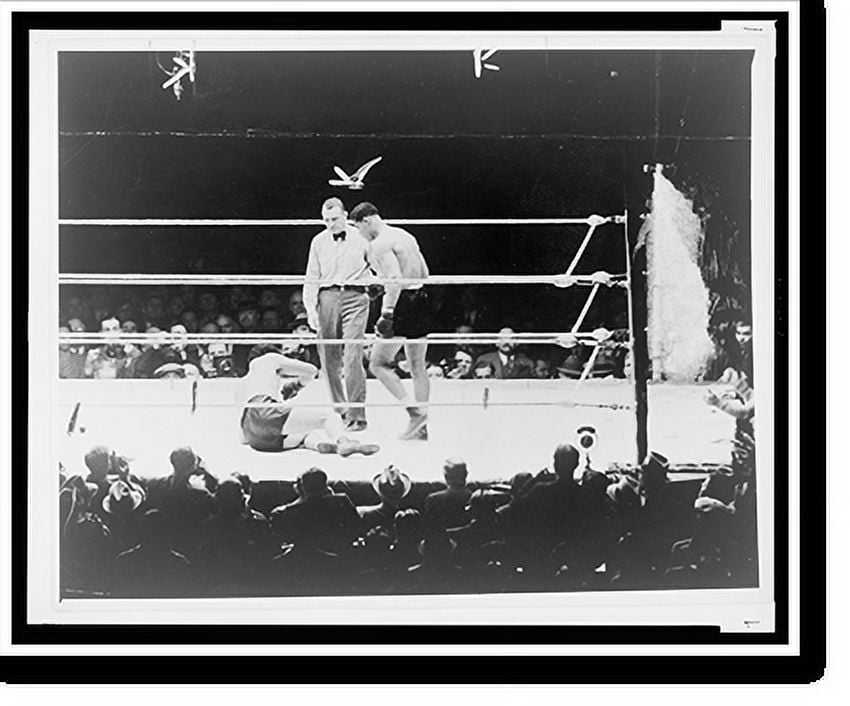 Historic Print, [Max Baer languishes on boxing ring floor as Joe Louis ...