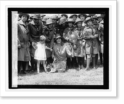 Historic Print, Mrs. Coolidge & raccoon, Easter egg rolling, 1927, 16 ...