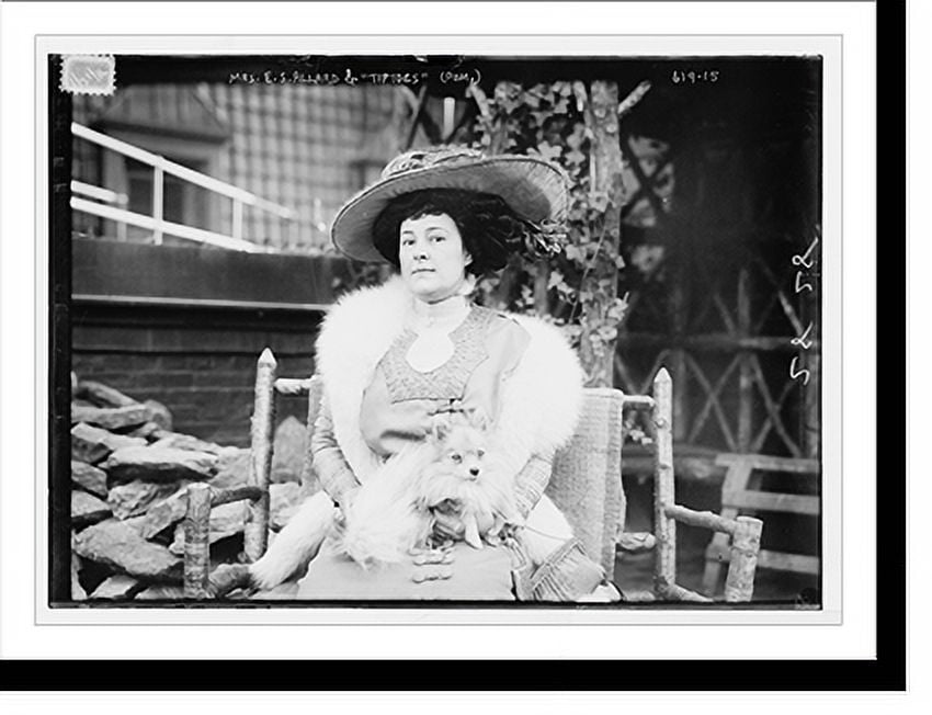 Historic Print, Mrs. E.S. Allard seated with Pomeranian dog ("Tiptoes ...