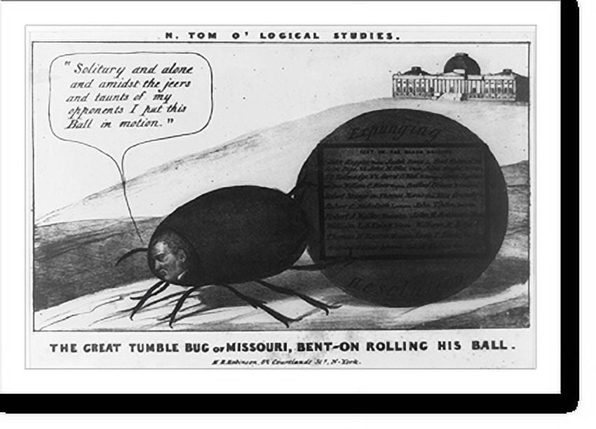 Historic Print, N. Tom o' logical studies. The great tumble bug of ...