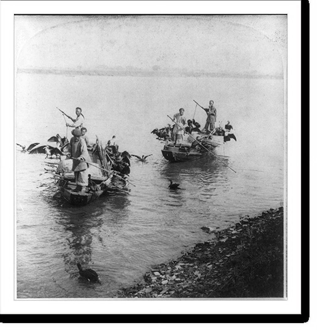 Historic Print, Natives fishing with trained Cormorants in the Grand ...