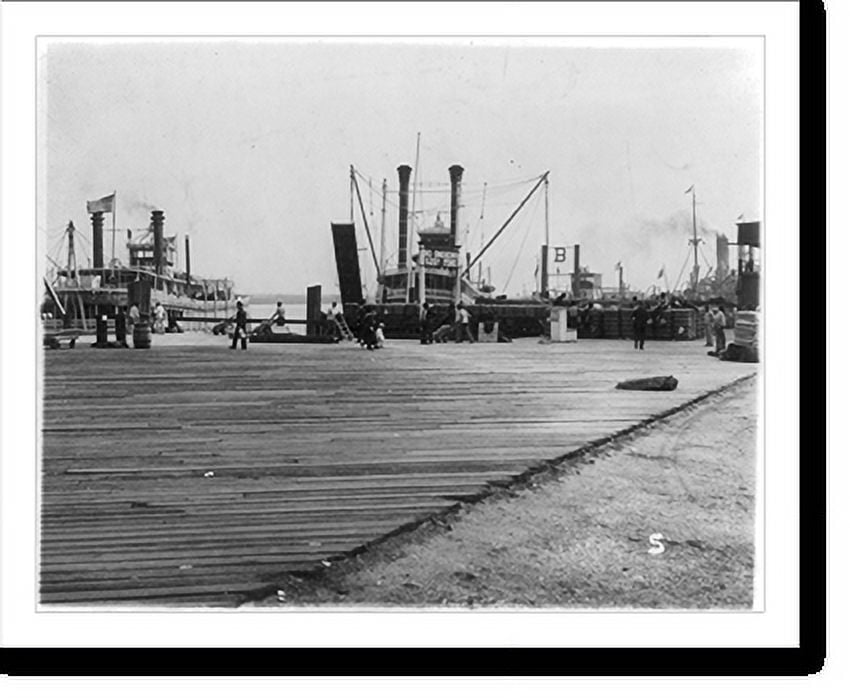 Historic Print, New Orleans levee about 1905, AMERICA in center, 16" x ...