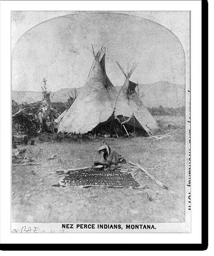 Historic Print, Nez Perce Indians, Montana., 18" x 24" - Walmart.com