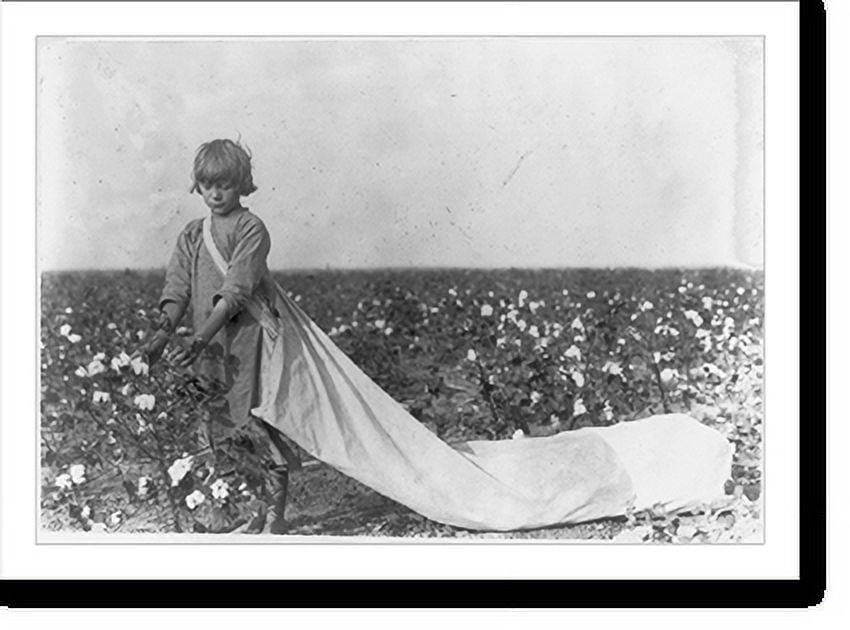 Historic Print, Norma Lawrence is 10 years old and picks from 100 to ...