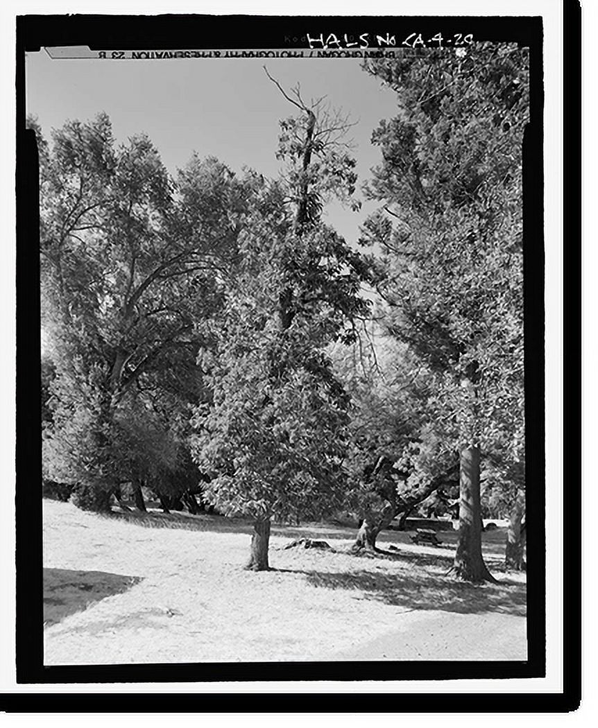 Historic Print, Olompali State Historic Park, Natural Landscape ...