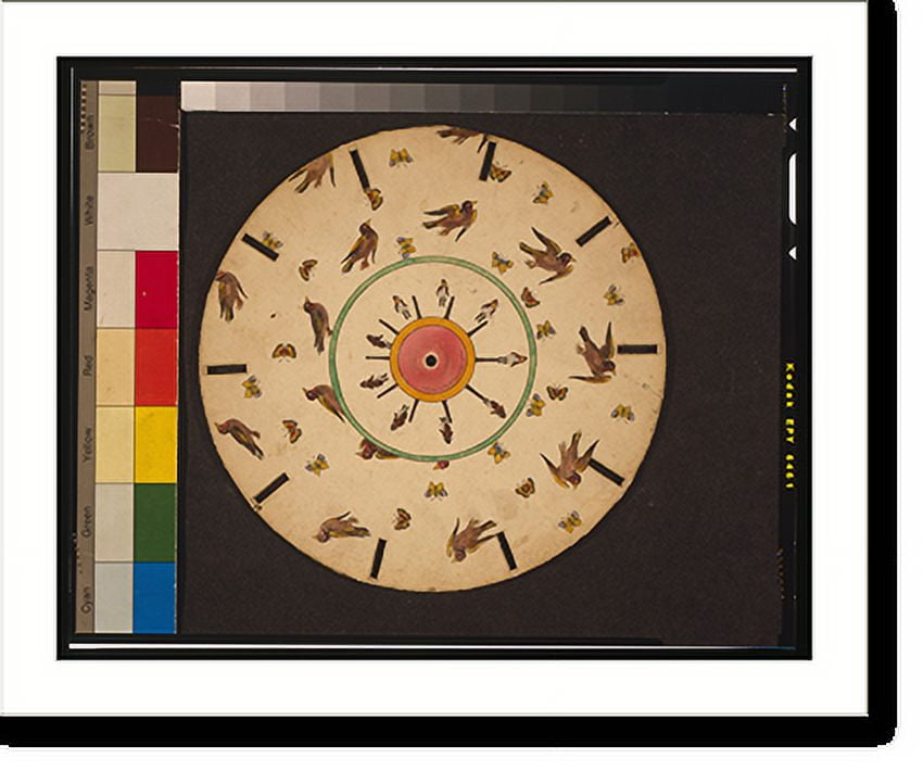 Historic Print, [Optical illusion disc with birds, butterflies, and a ...