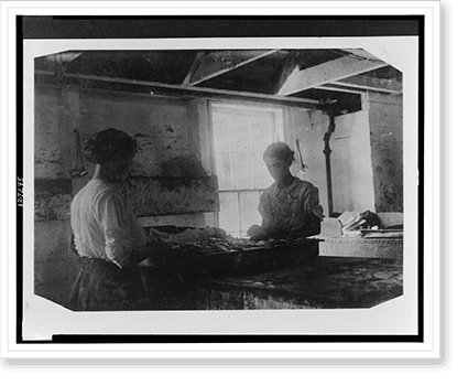 Historic Print, Packing sardines in Seacoast Canning Co., Factory #7 ...