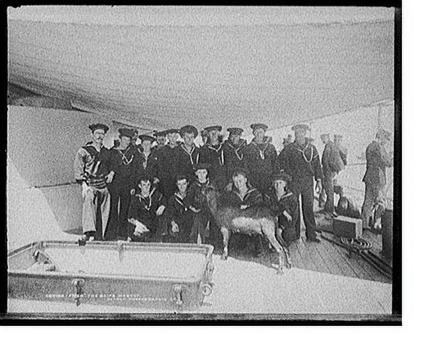 Historic Print, Pitch, the ship's mascot, 18" x 24" - Walmart.com