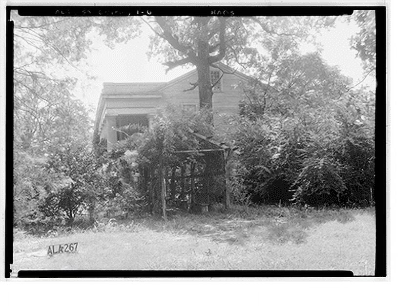 Historic Print, Pitts' Folly, House & Outbuildings, State Highway 21 ...