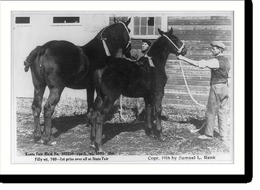 Historic Print, [Prize winners at Sherburne County fair, Minnesota ...