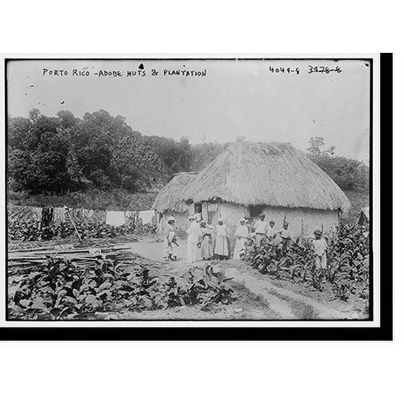 Historic Print, Puerto Rico . Adobe huts & plantation, 16" x 20 ...
