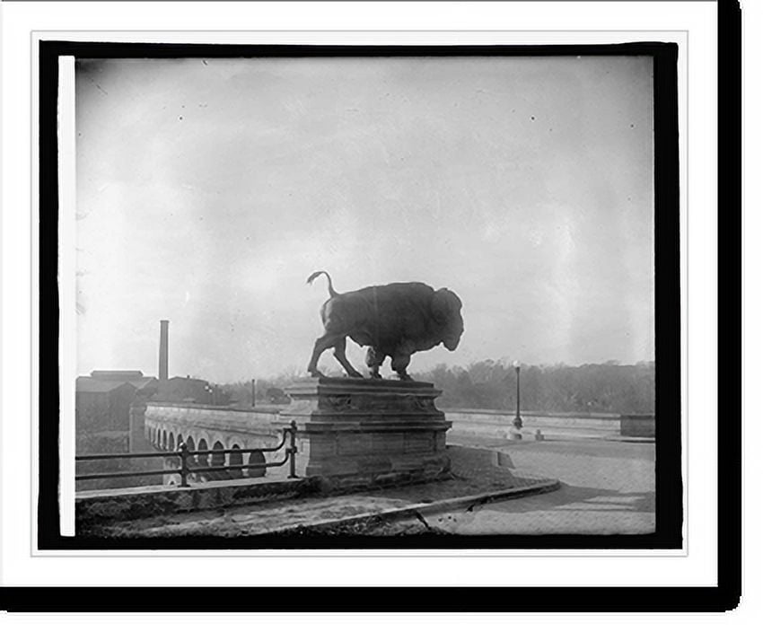 Historic Print, Q St. Bridge, buffalo, [Washington, D.C.], 16" x 20 ...