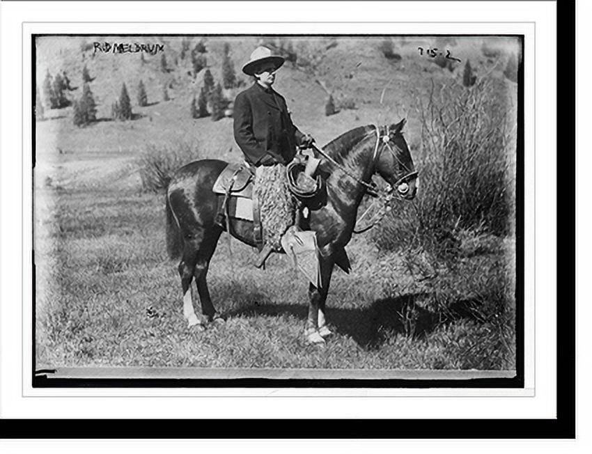 Historic Print, R.D. Meldrum, in cowboy outfit, on quarter horse, 18" x ...