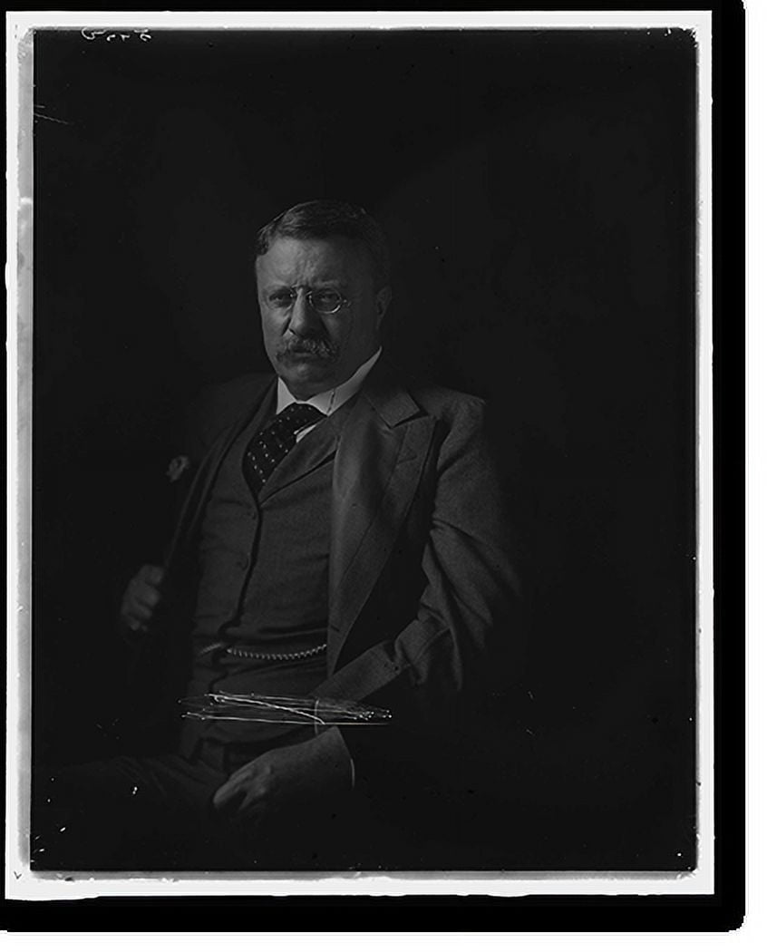 Historic Print, ROOSEVELT, THEODORE - 6, 16" x 20" - Walmart.com