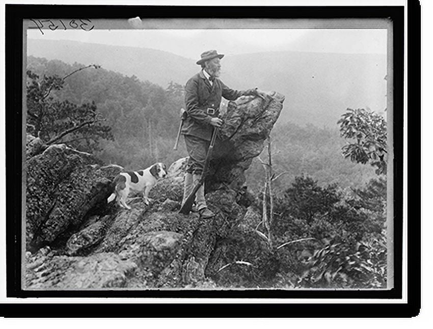 Historic Print, ROTHROCK, JOSEPH TRIMBLE, M.D. BOTANIST, 16" x 20 ...