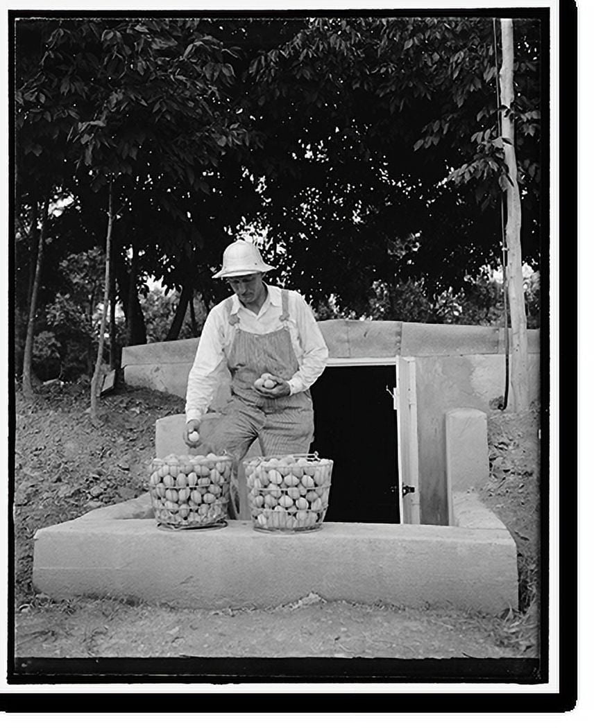 Historic Print, Sam Rice, former Washington ball player on his farm - 2 ...