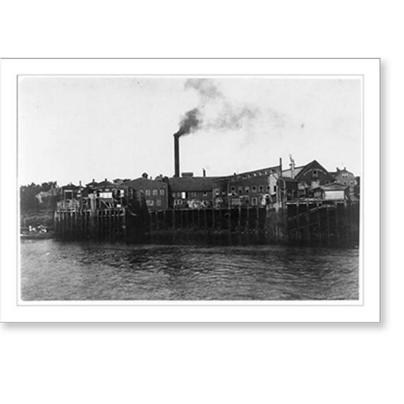 Historic Print, Sardine canneries at Eastport, Maine. Location ...