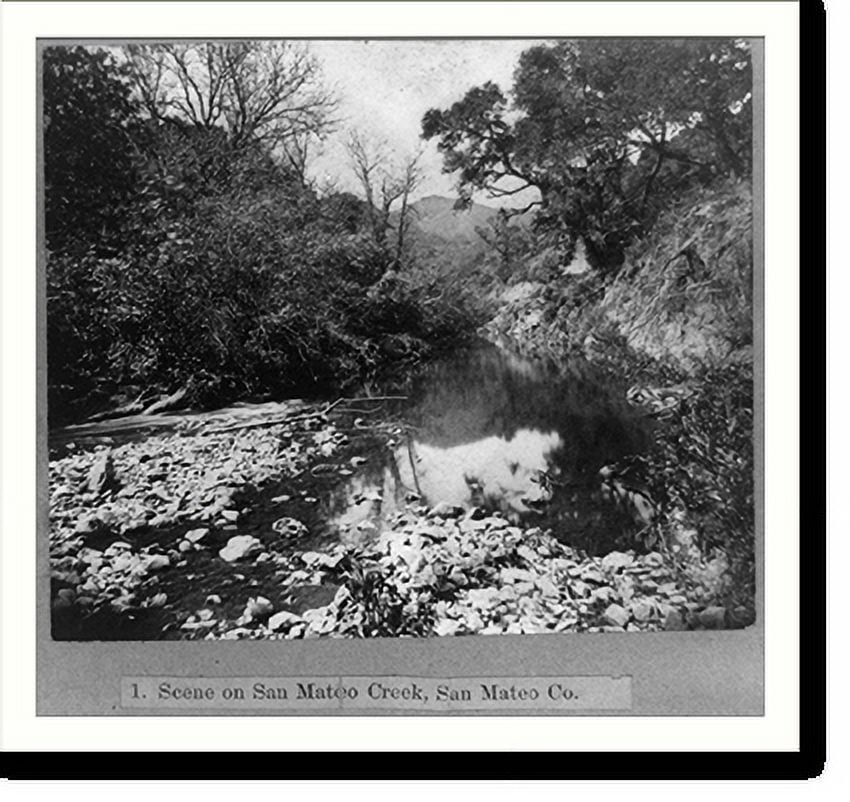 Historic Print, Scene on San Mateo Creek, San Mateo Co., 18" x 24 ...