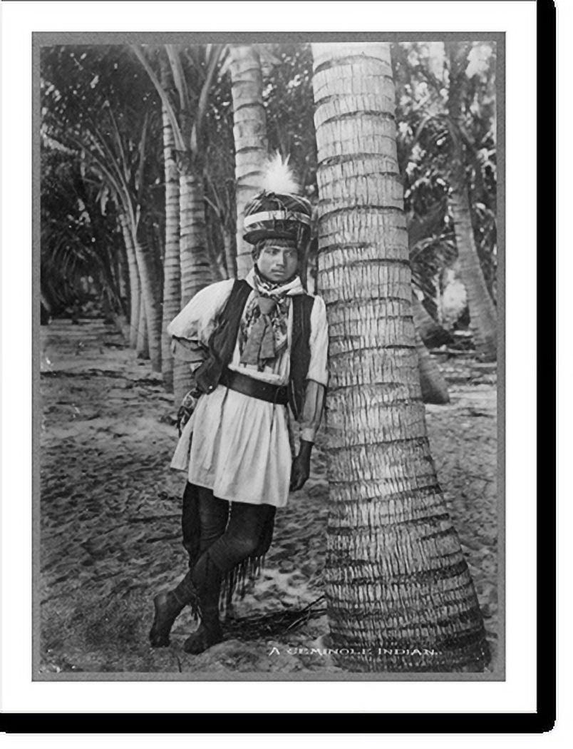 Historic Print, Seminole Indians, Florida, 16" x 20" - Walmart Business ...