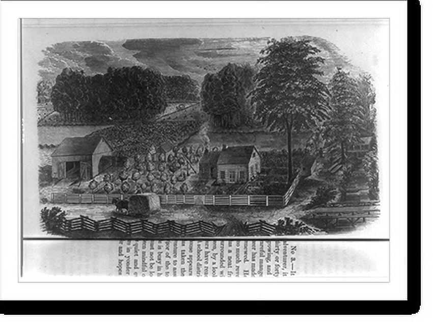Historic Print, [Settlement of Batavia, (Genesee Co.), N.Y., by the ...