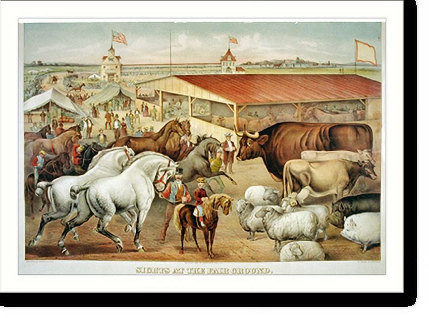 Historic Print, Sights at the fair ground, 18" x 24" - Walmart.com