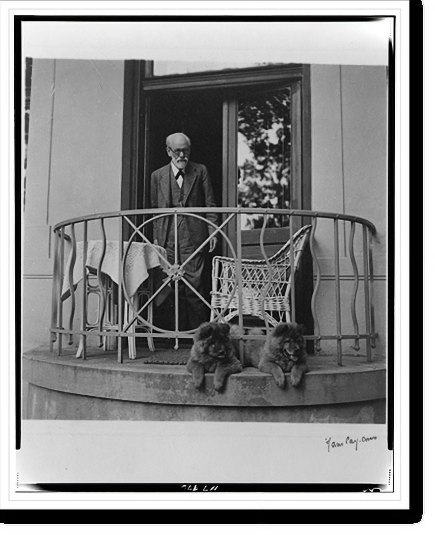 Historic Print, [Sigmund Freud standing on balcony with two dogs], 16 ...