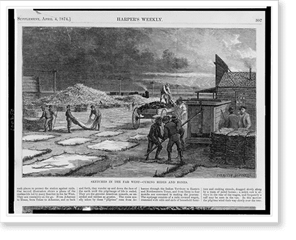 Historic Print, Sketches in the far West. curing hides and bones ...