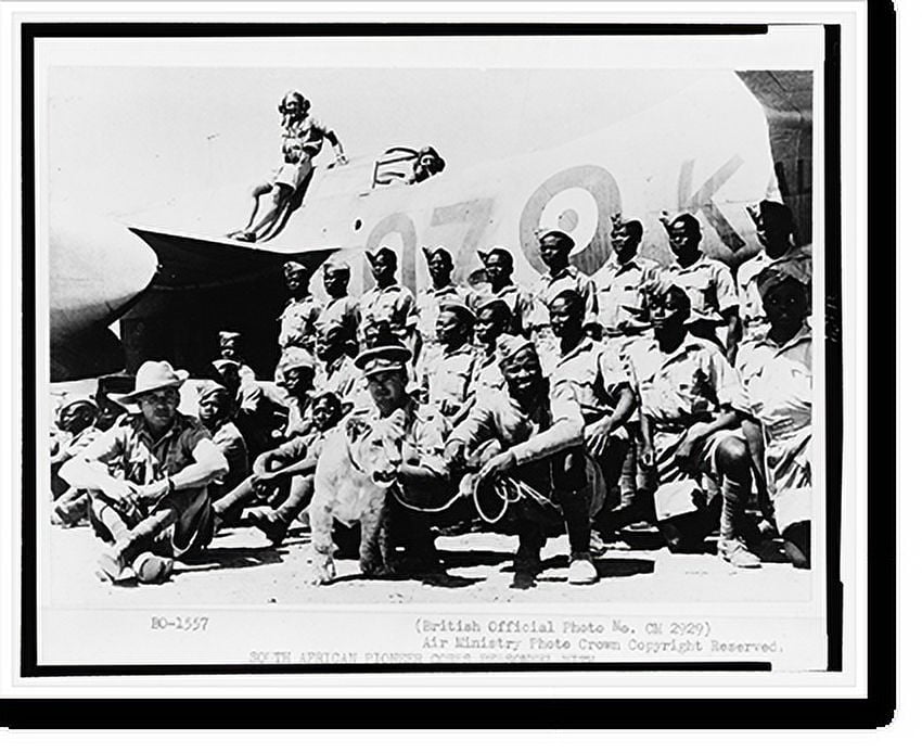 Historic Print, South African Pioneer Corps personnel with Dolly, their ...