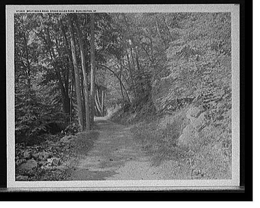 Split Road