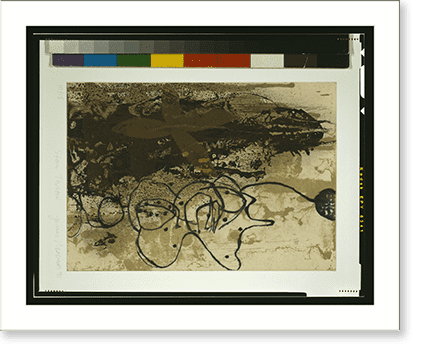 Historic Print, Star throw.Janis Provisor '91., 16" x 20" - Walmart.com